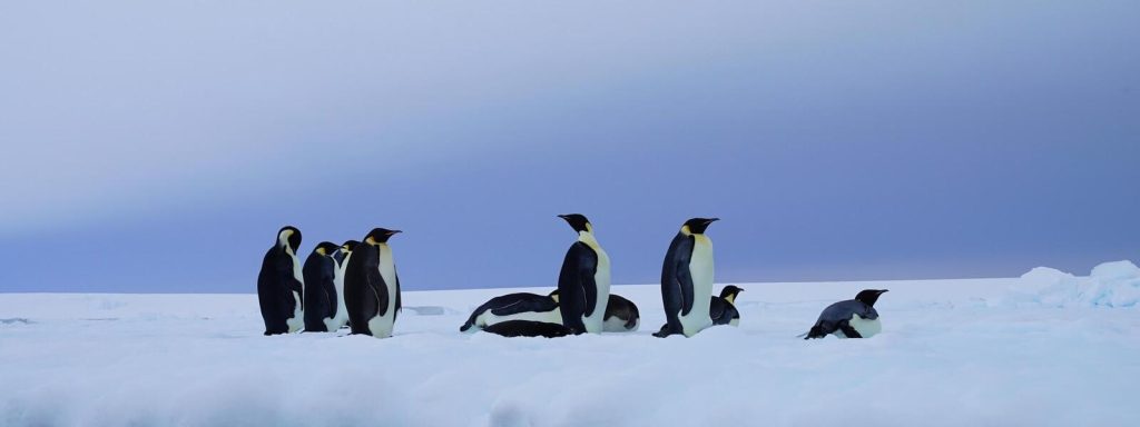 Melting Ice Caps and Sea Level Rise - Mr Pakistan